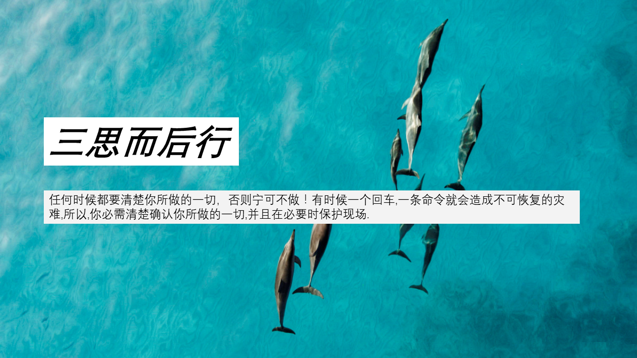 一图胜千言 Sql Server 实用案例 数据库